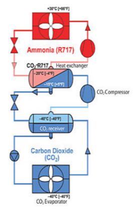 Subcritical CO2 refrigeration - INTARCON