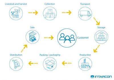 What is the cold chain? - INTARCON